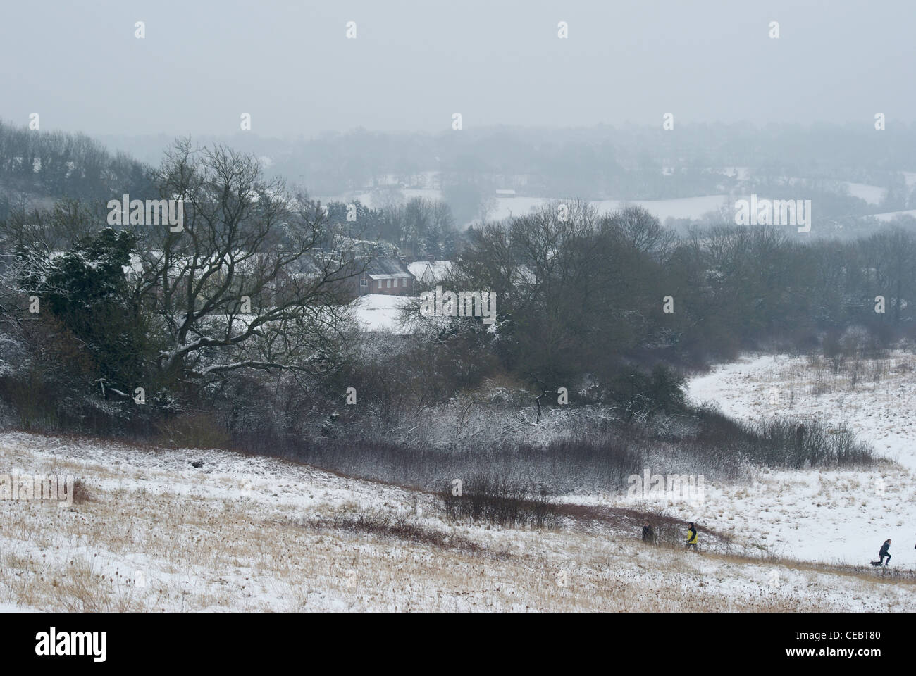 Woodmansterne hi-res stock photography and images - Alamy