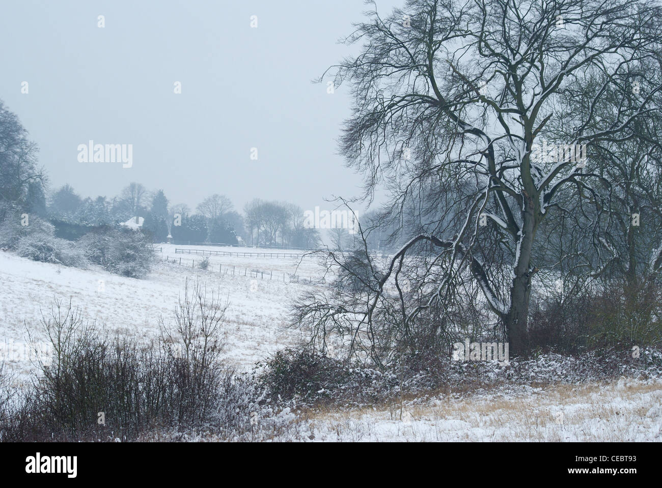 Woodmansterne hi-res stock photography and images - Alamy