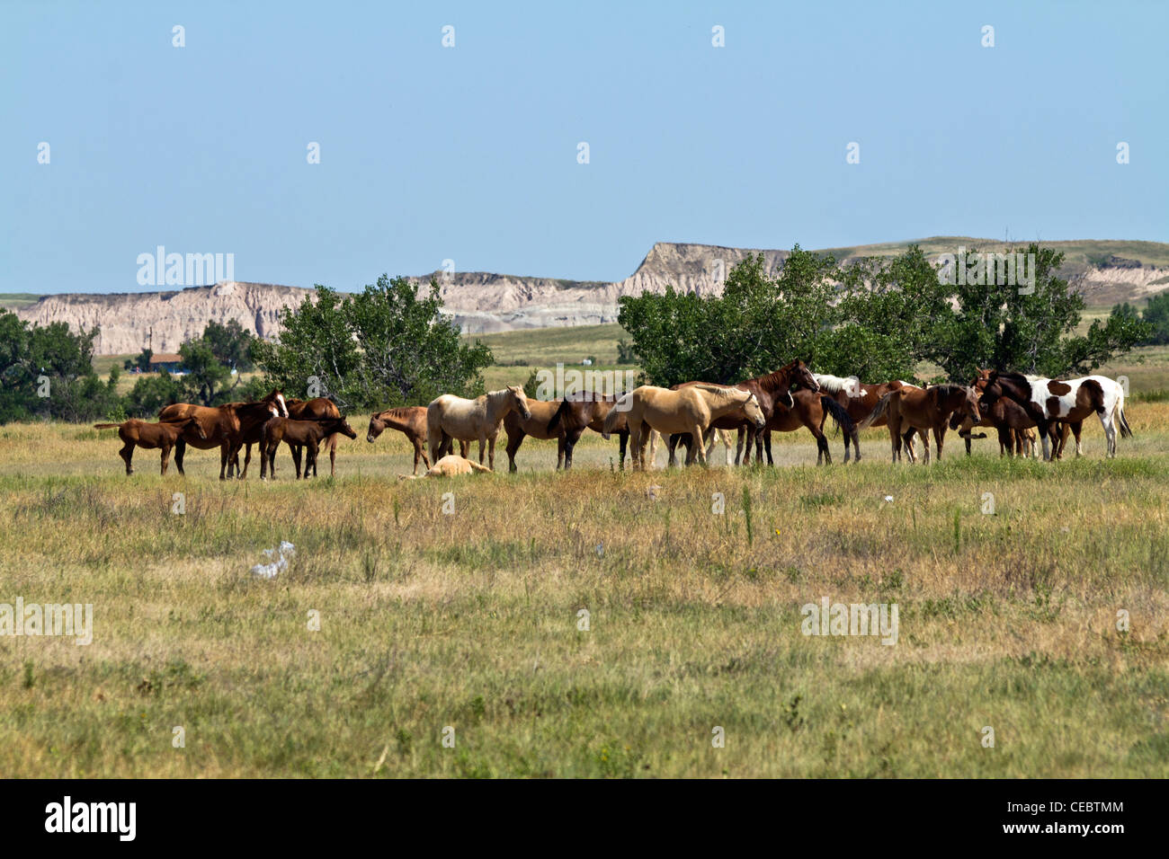 Native American reservation tribe Oglala Sioux Lakota Badlands South ...