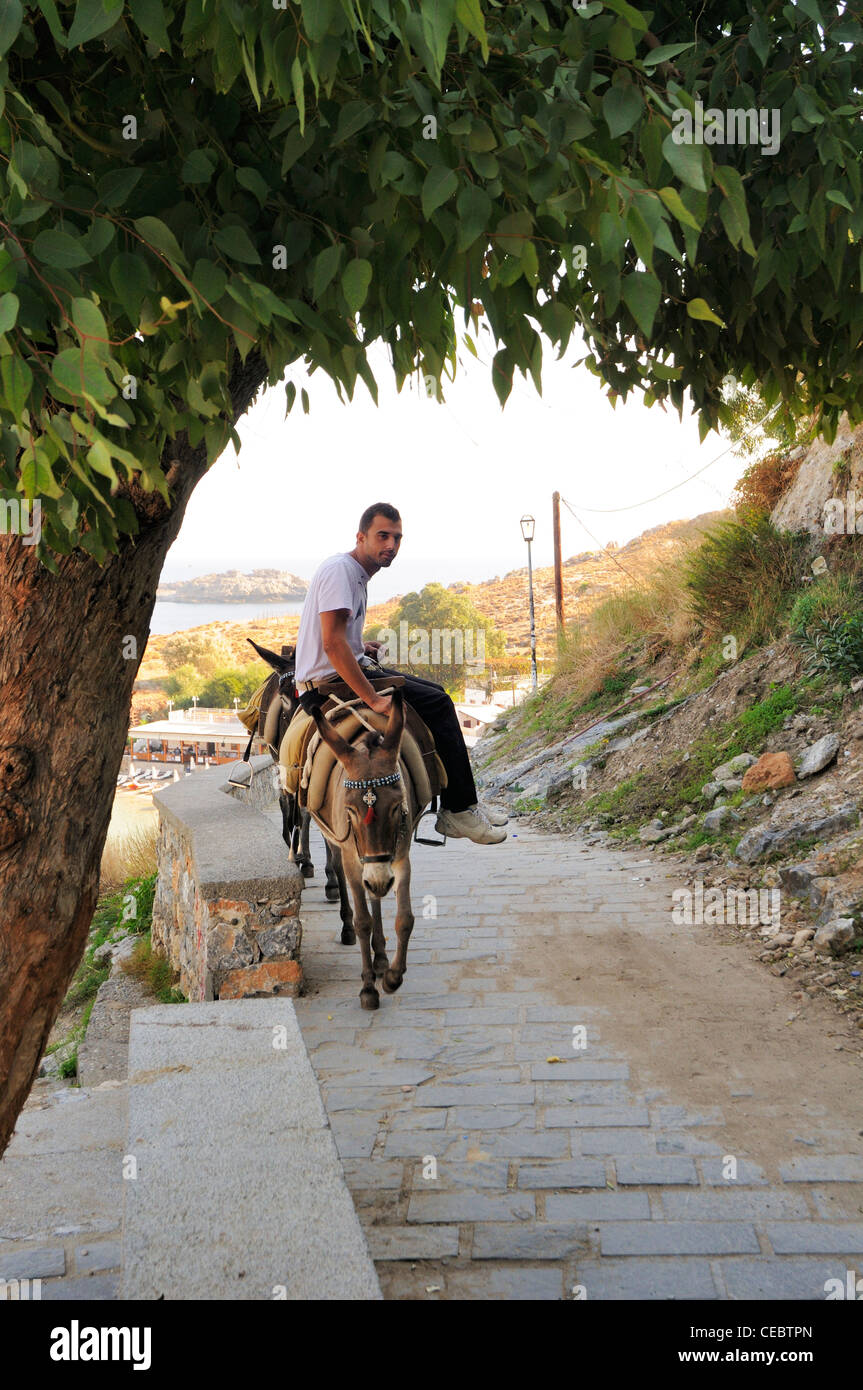 A donkey driver riding his donkey up the track that leads from Lindos ...