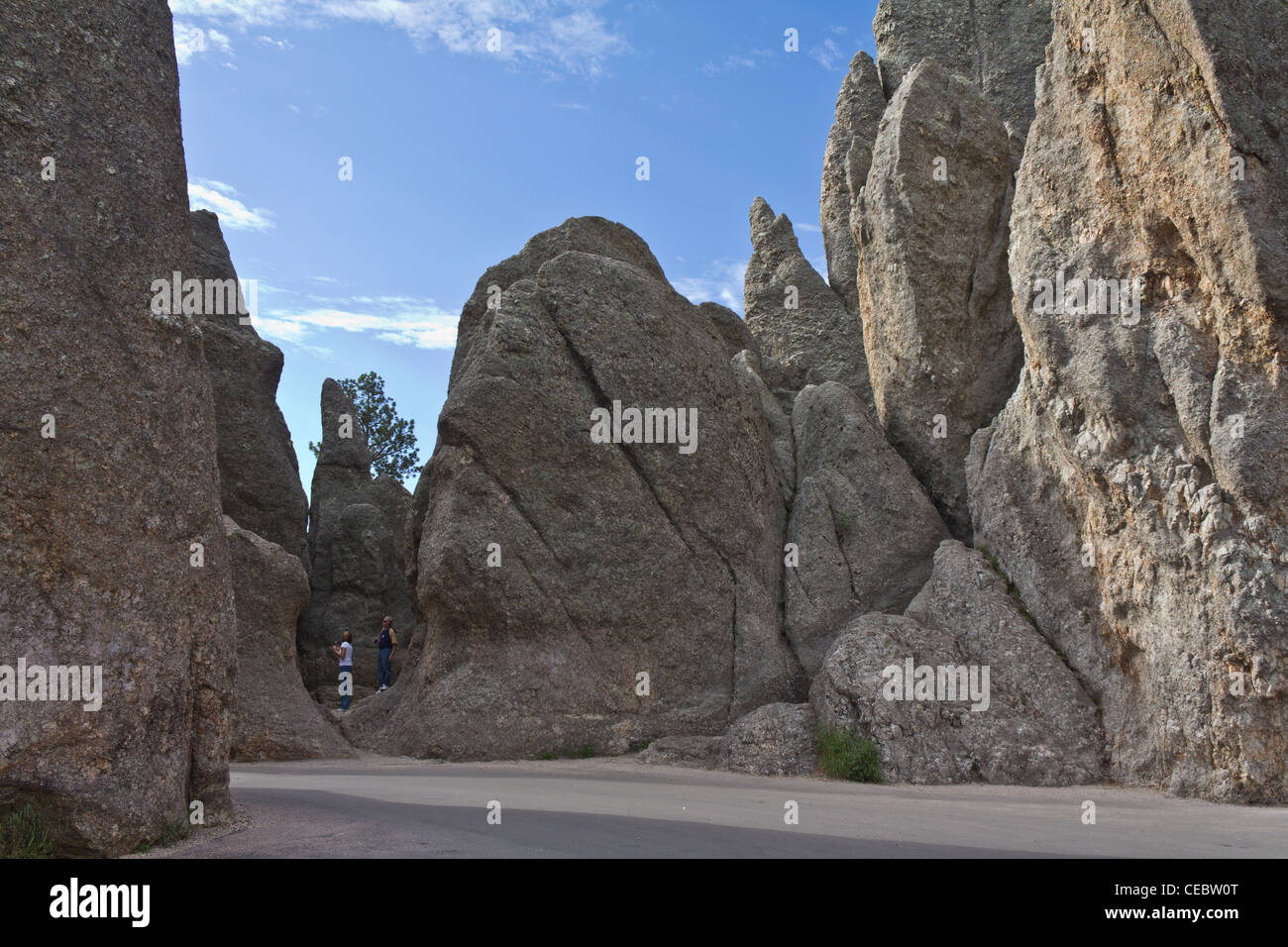 Peter norbeck scenic national byway hi-res stock photography and images ...