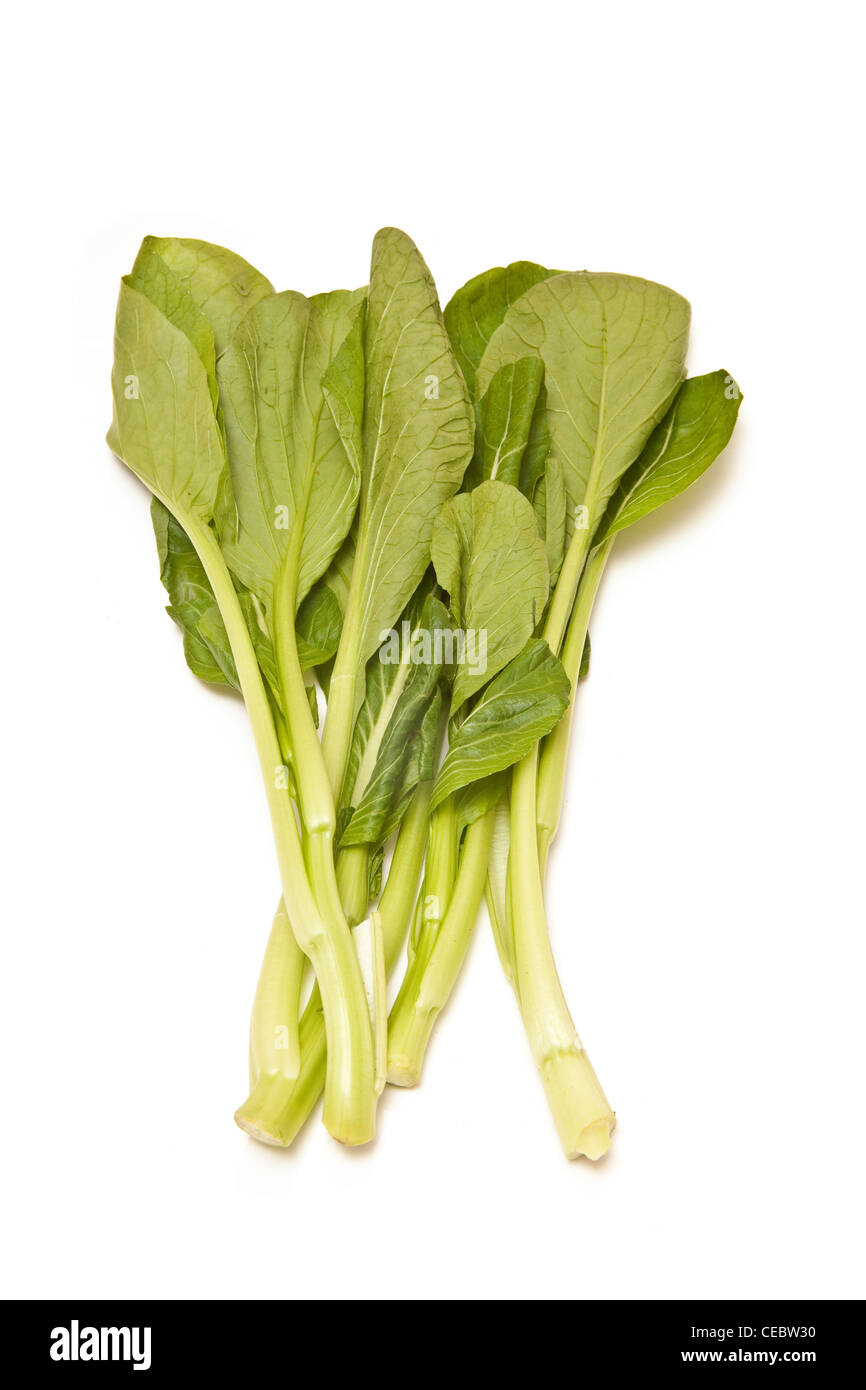 Choi Sum leaves isolated on a white studio background Stock Photo - Alamy