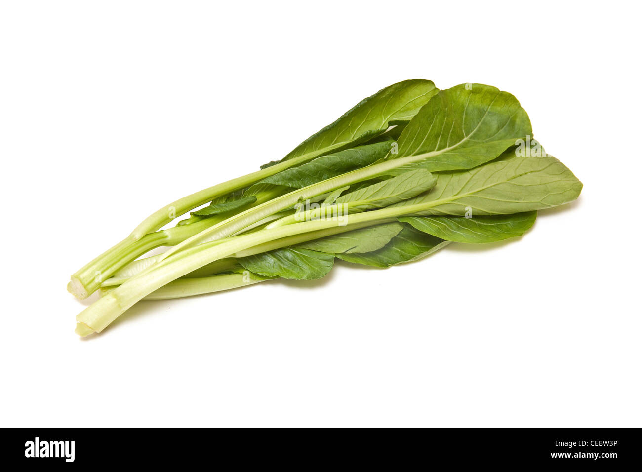 Choi Sum leaves isolated on a white studio background Stock Photo - Alamy