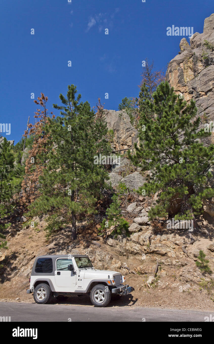 American Black Hills Custer State Park Landscape Needles Highway South ...