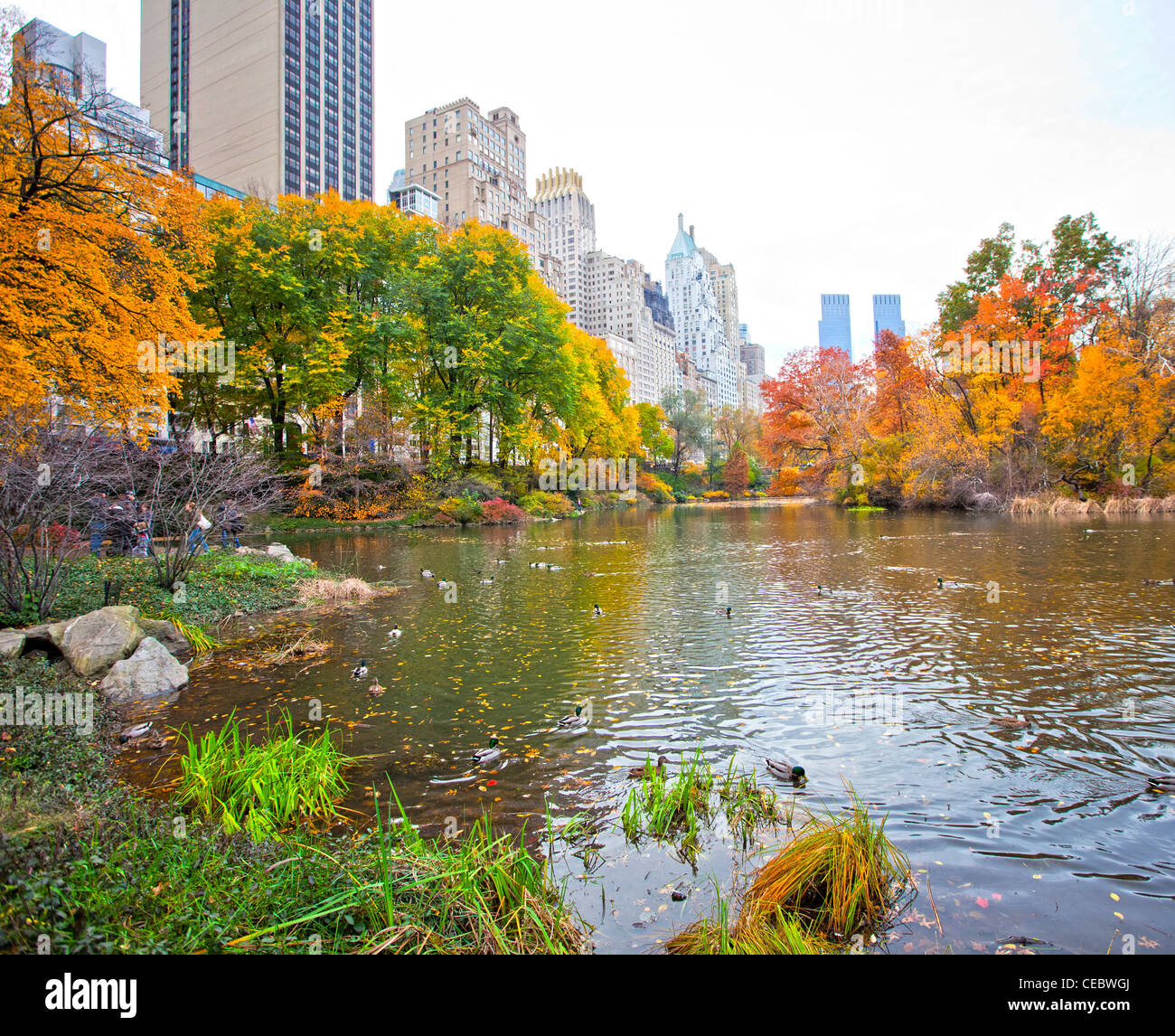 Central park in New York city during the fall Stock Photo - Alamy