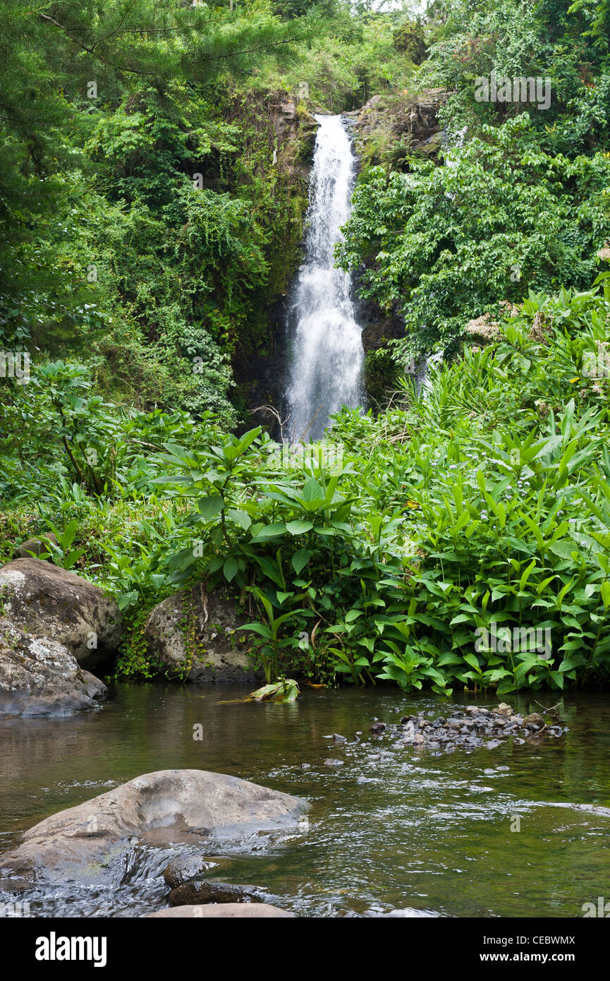 Waterfall in Marangu Kilimanjaro Tanzania Stock Photo - Alamy