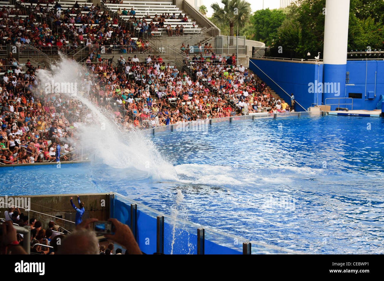 believe show with shamu at seaworld orlando florida Stock Photo - Alamy