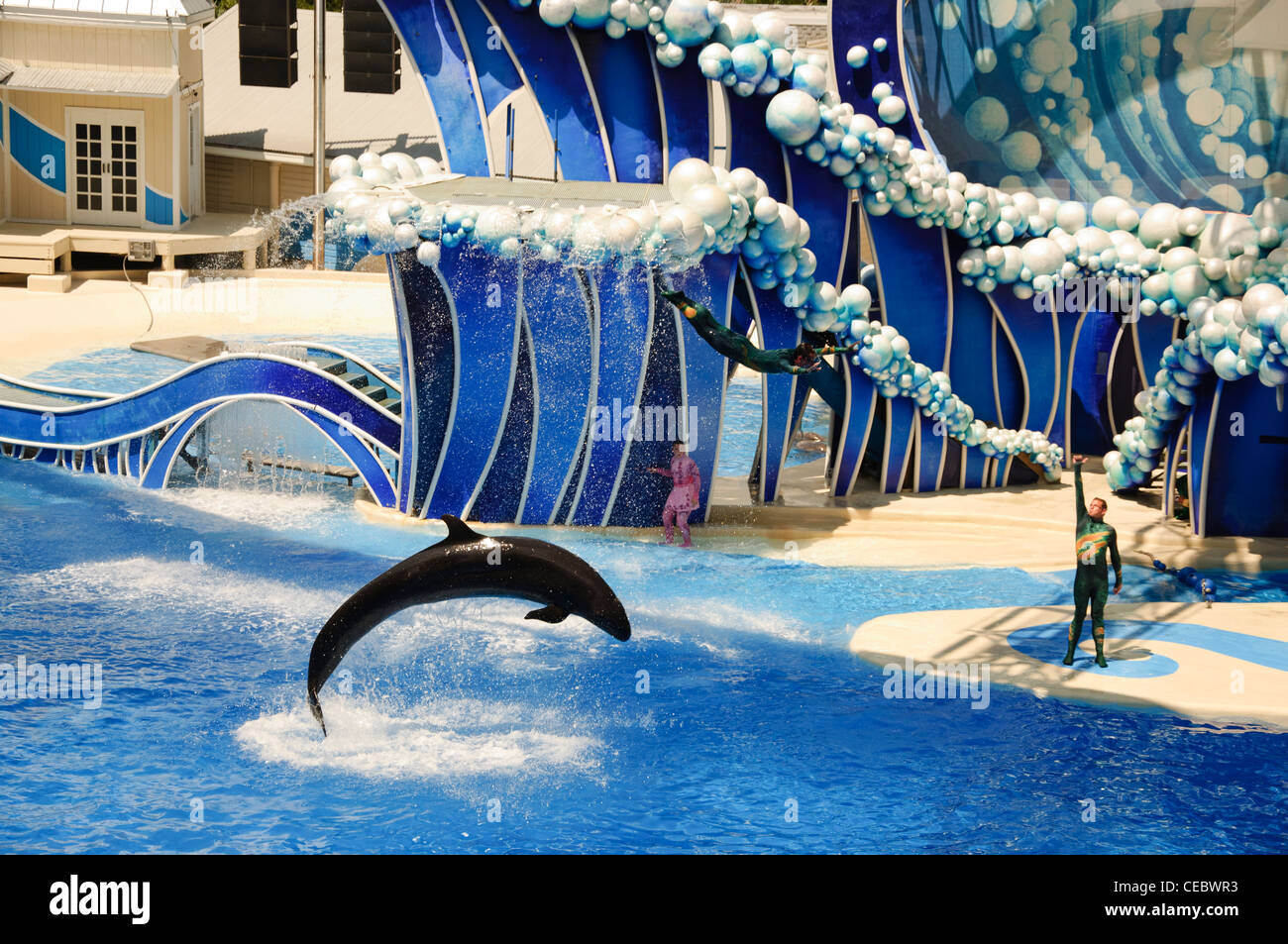 believe show with shamu at seaworld orlando florida Stock Photo - Alamy