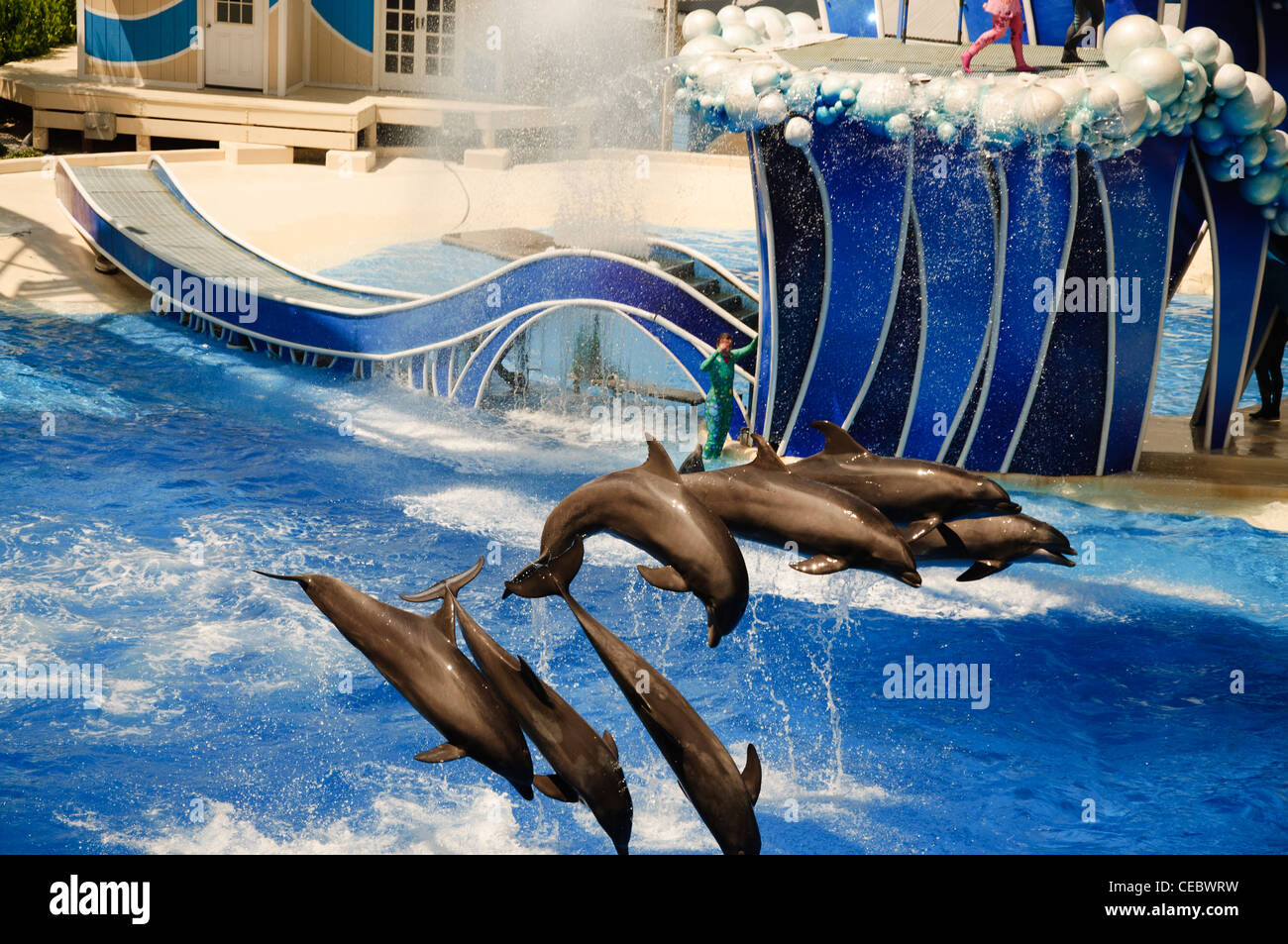 believe show with shamu at seaworld orlando florida Stock Photo - Alamy