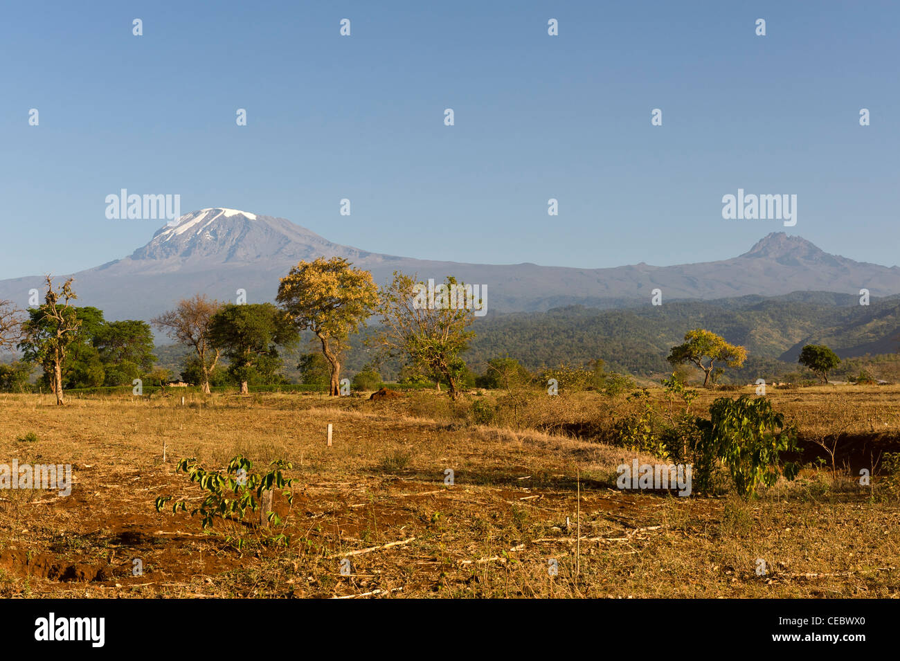 Kilimanjaro and Mawenzi and agricultural land during dry season as seen ...