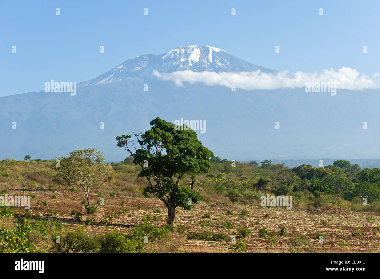 Kilimanjaro as seen from Moshi in Tanzania Stock Photo - Alamy