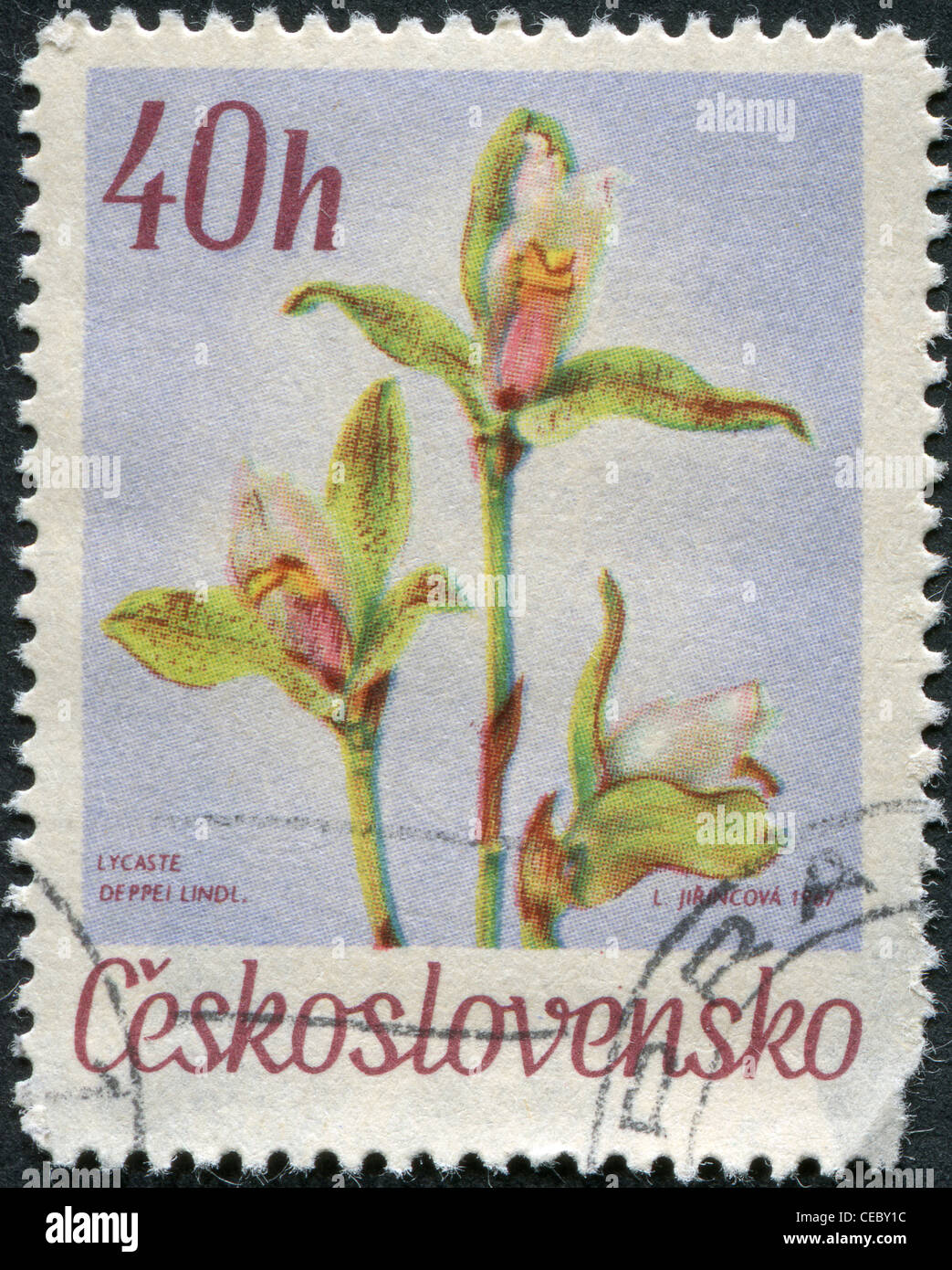 Czech republic postage stamp flower hi-res stock photography and images ...
