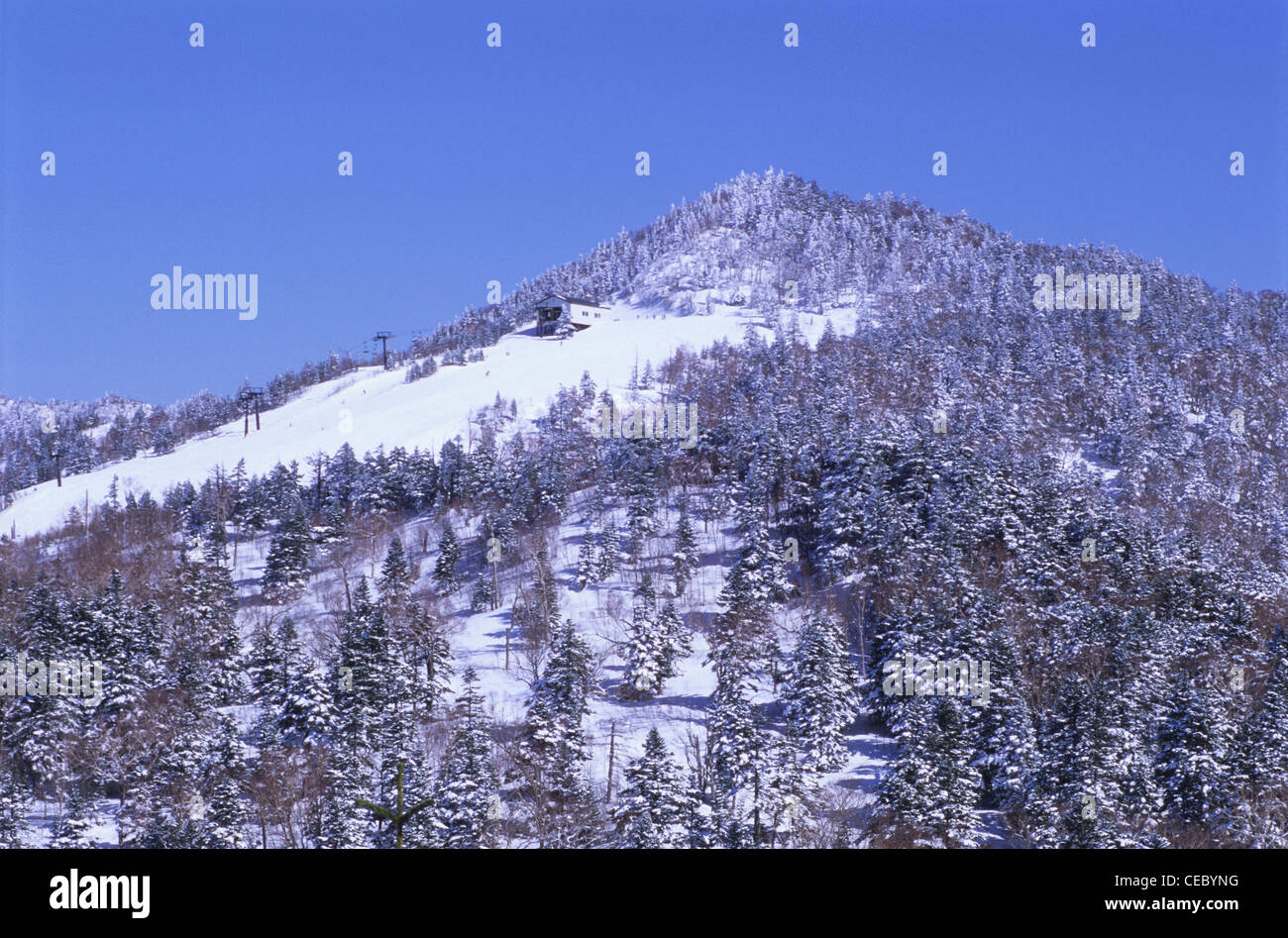 Snow-covered mountains, Shiga Kogen, Nagano Prefecture, Japan Stock ...