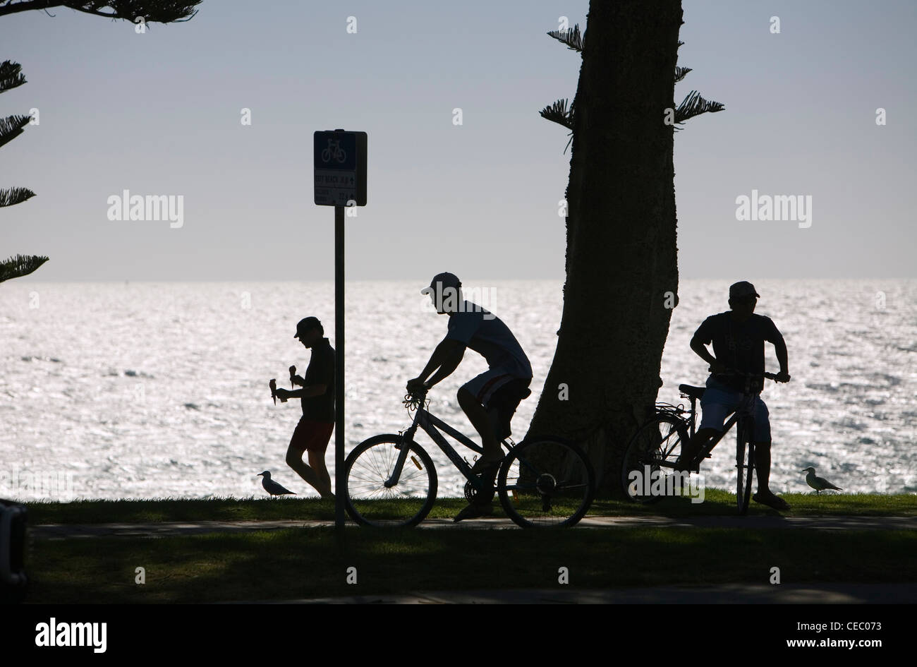 Summer afternoon at Cottesloe Beach. Perth, Western Australia ...