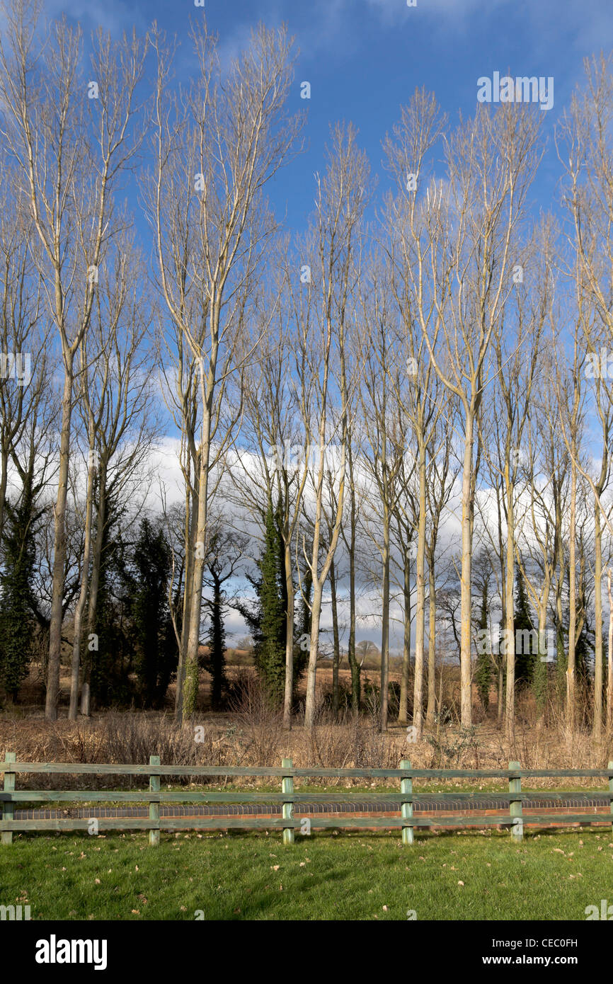 A narrow boat on the Stratford upon avon canal, Preston Bagot flight of ...