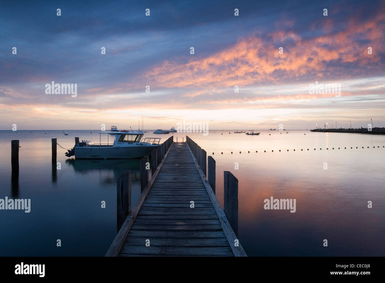Rottnest island perth hi-res stock photography and images - Alamy