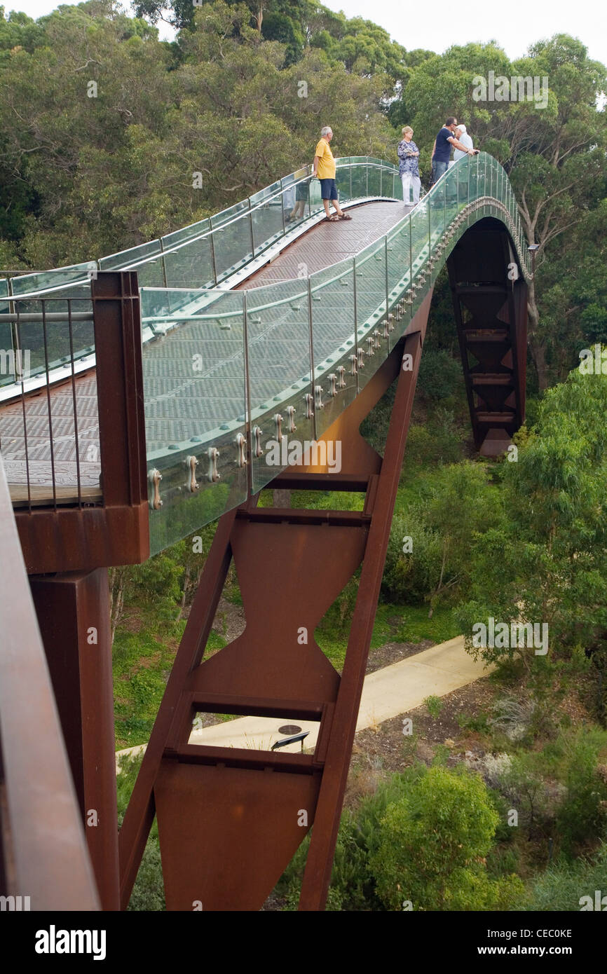 Visitors walk above the treetops on the Federation Walkway in Kings ...