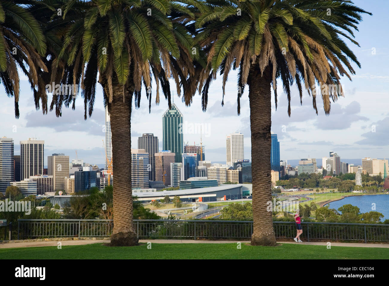 View across Kings Park to the Perth city skyline. Perth, Western ...