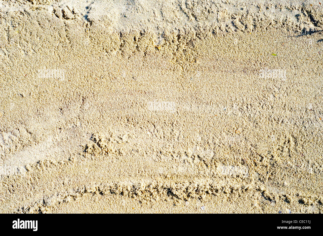 wet sand closeup as texture Stock Photo - Alamy
