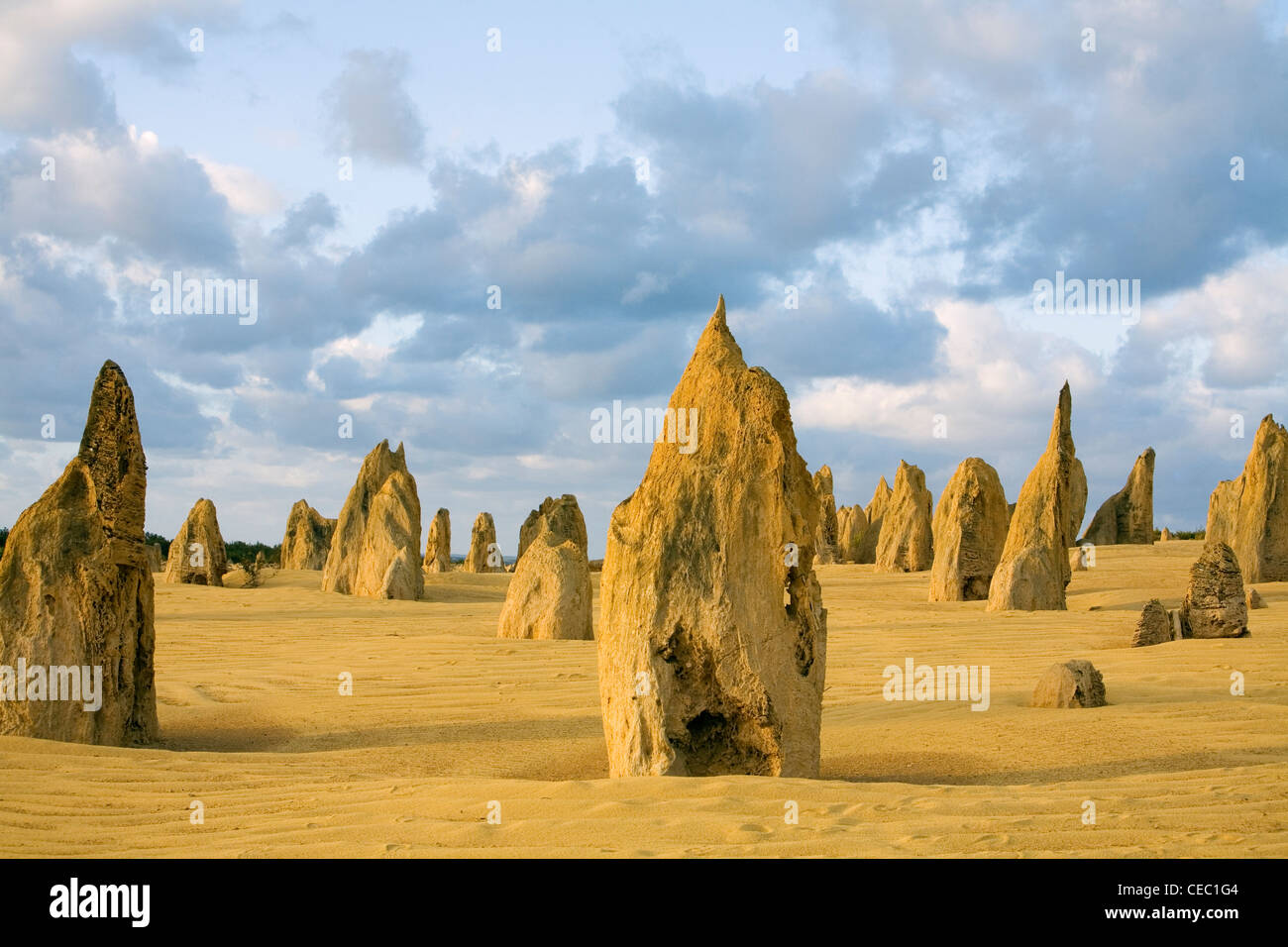 Limestone pillars at dusk in the Pinnacles Desert. Nambung National ...