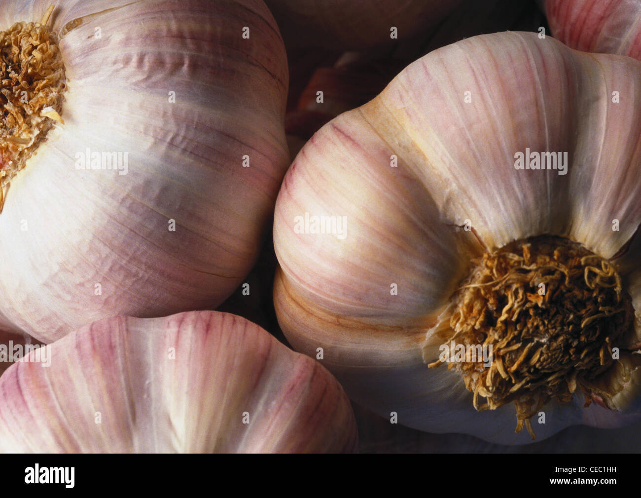 Garlic, extreme close-up Stock Photo - Alamy