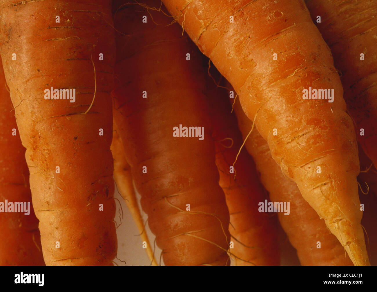 Carrots, extreme close-up Stock Photo - Alamy