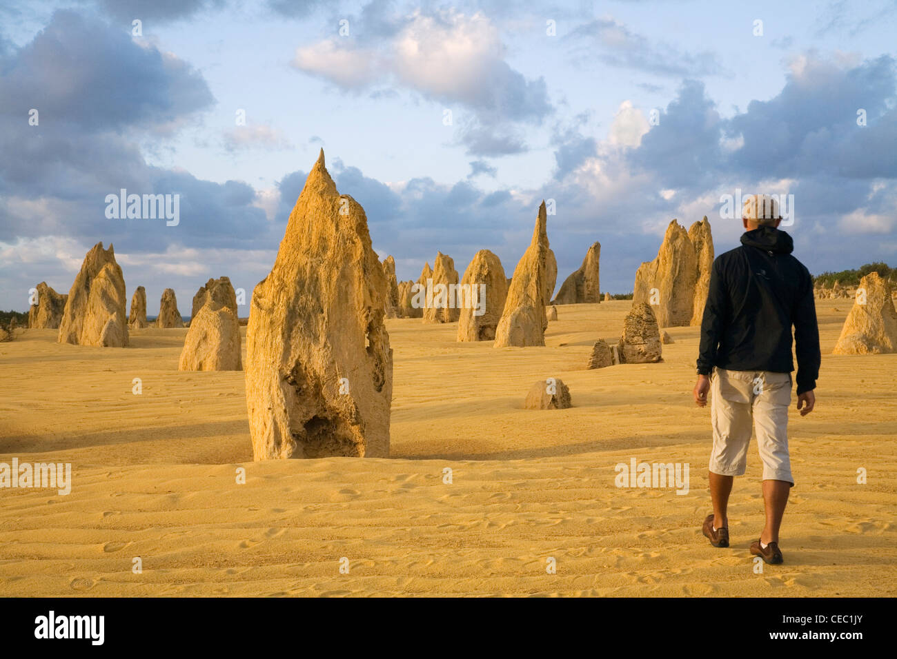 Walking amongst the limestone pillars of the Pinnacles Desert in ...