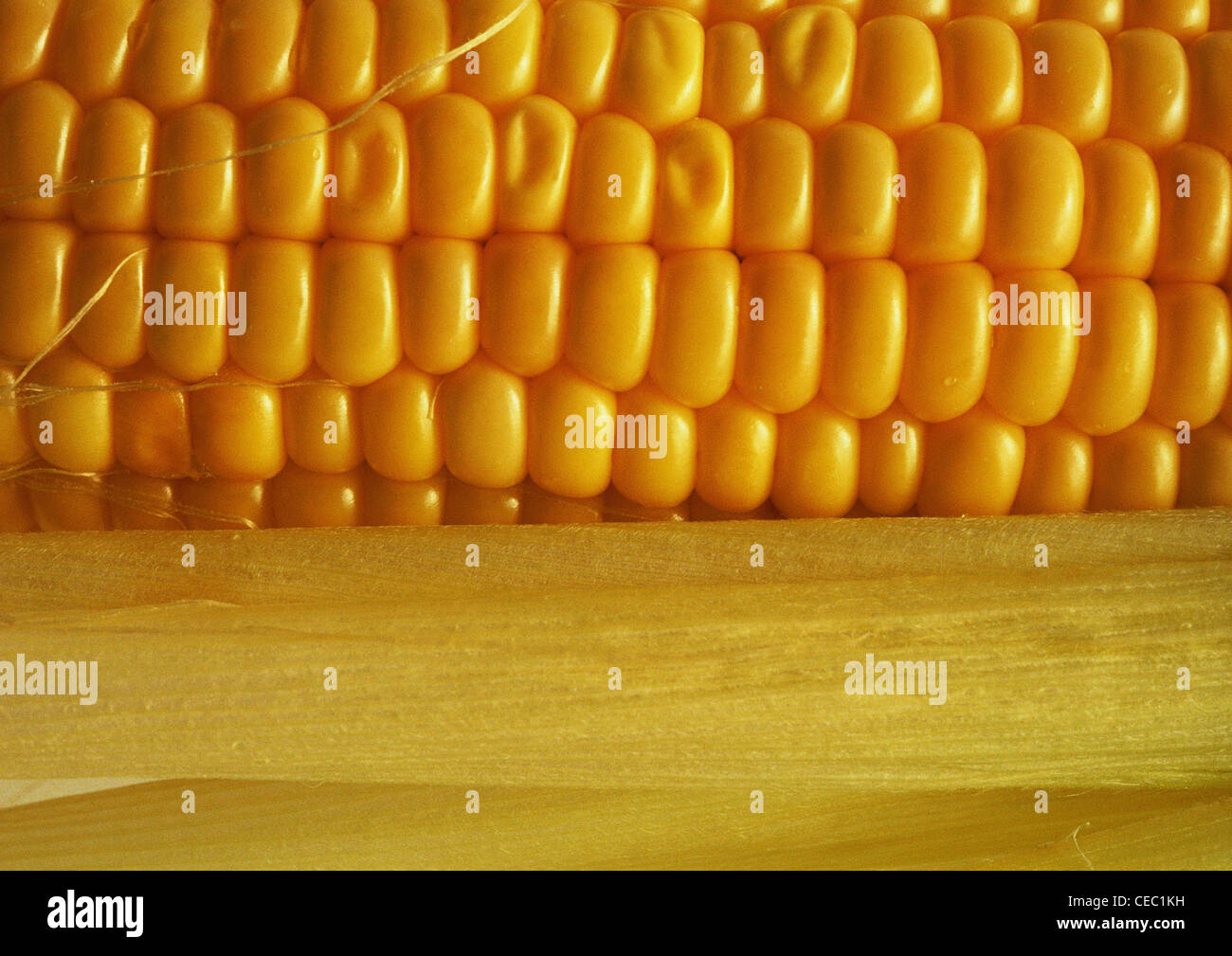 Corn, extreme close-up Stock Photo - Alamy