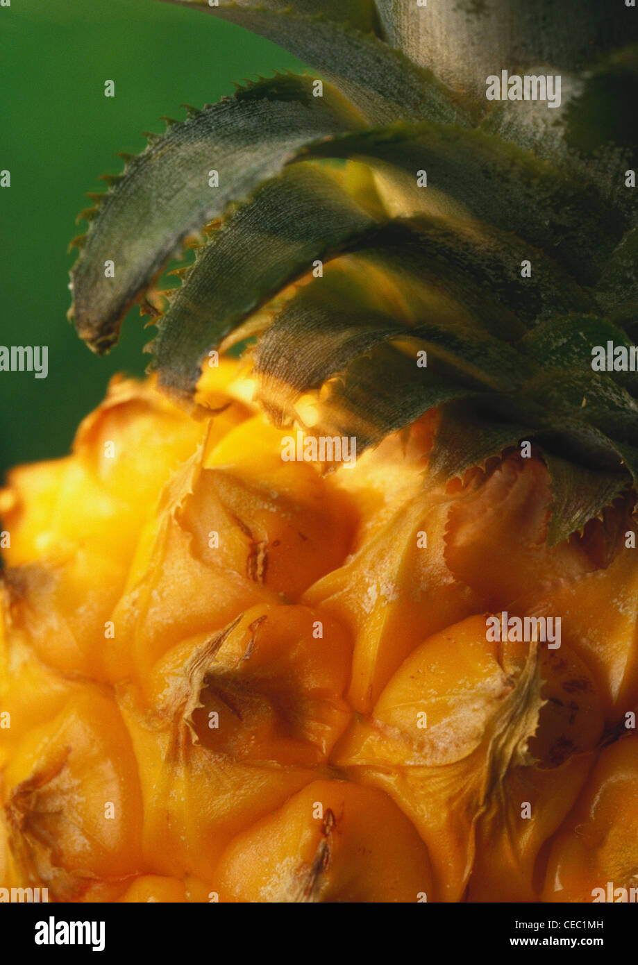 Pineapple, extreme close-up Stock Photo - Alamy