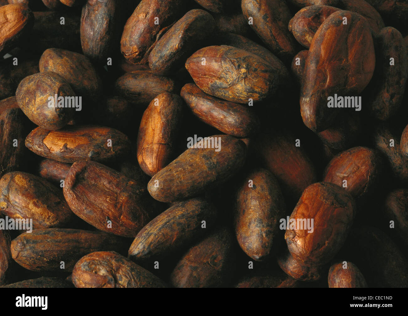 Cocoa powder chocolate powders hi-res stock photography and images - Alamy
