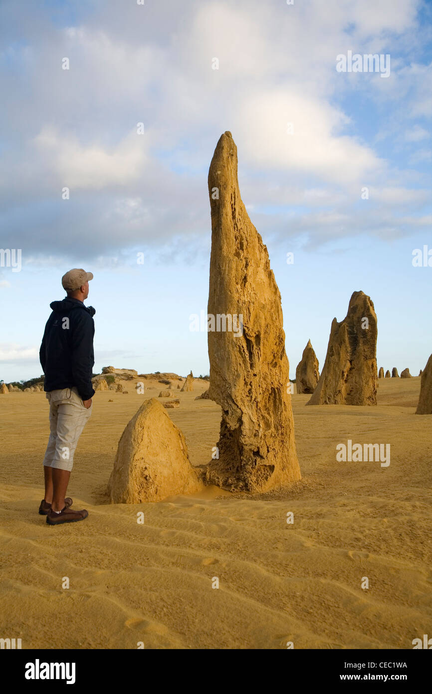A tourist looks at limestone pillars in the Pinnacles Desert. Nambung ...