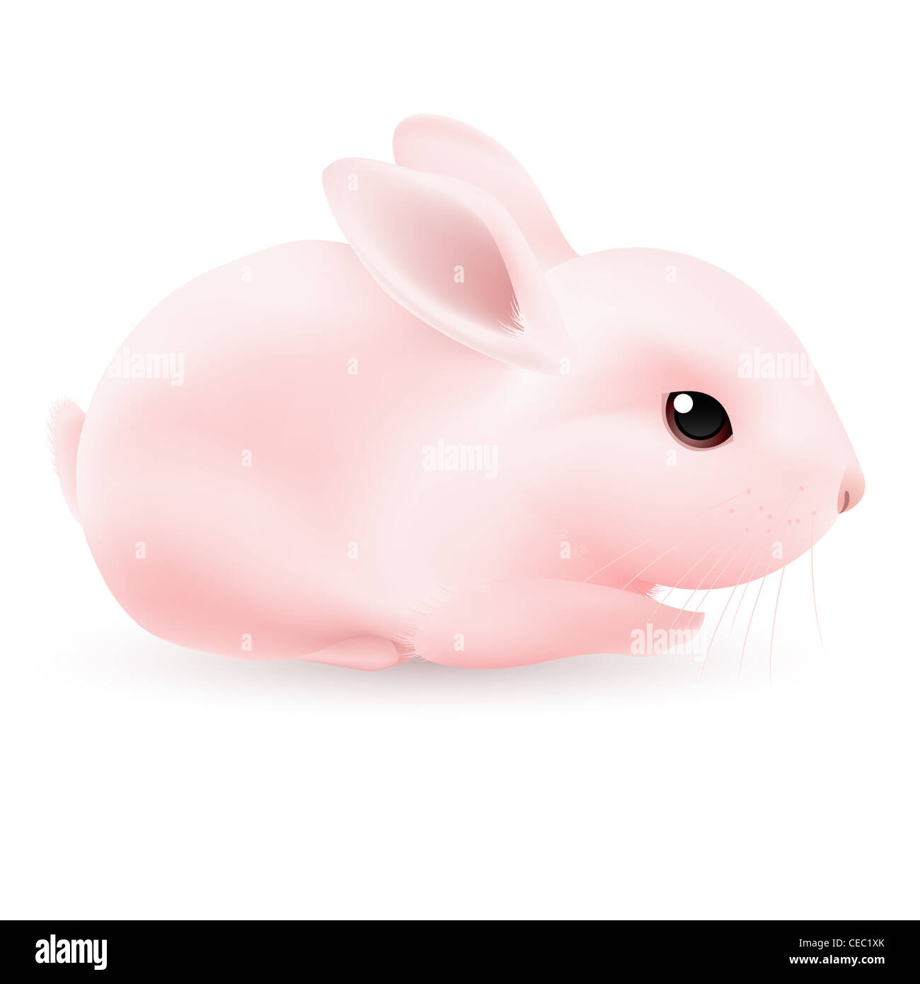 Pink Rabbit. Illustration on white background for design Stock Photo ...