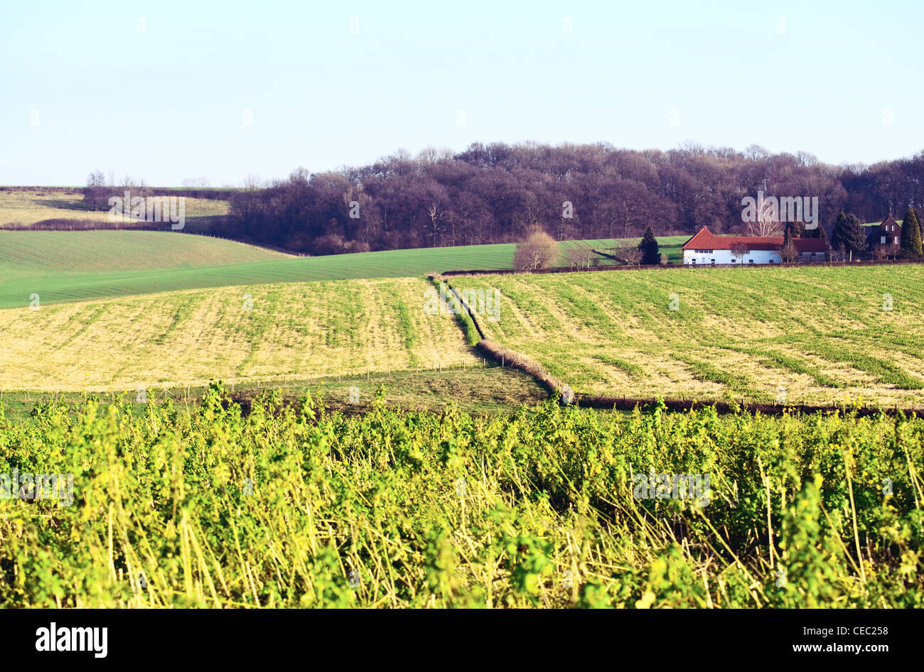 typical landscape of Limburg, Netherlands with house on the hill Stock ...