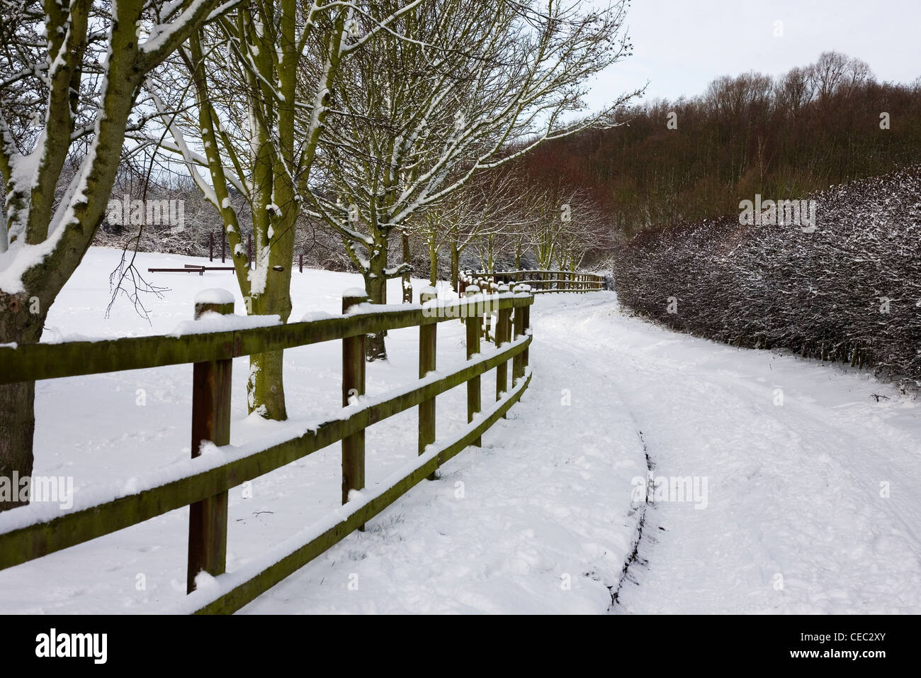Snow covered rural lane Stock Photo - Alamy