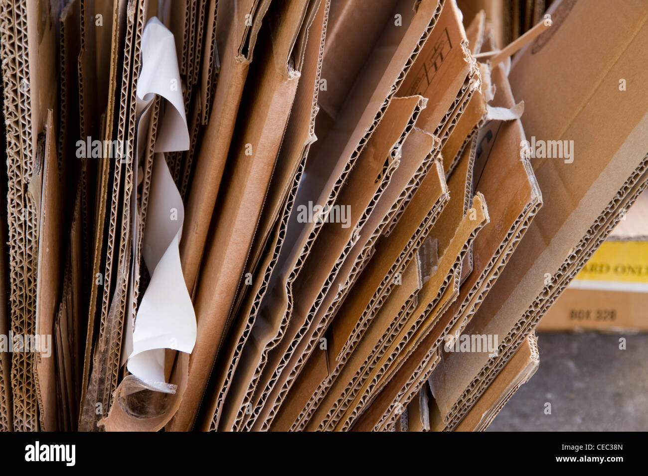 Cardboard stacked for waster collection by the municipal council in ...