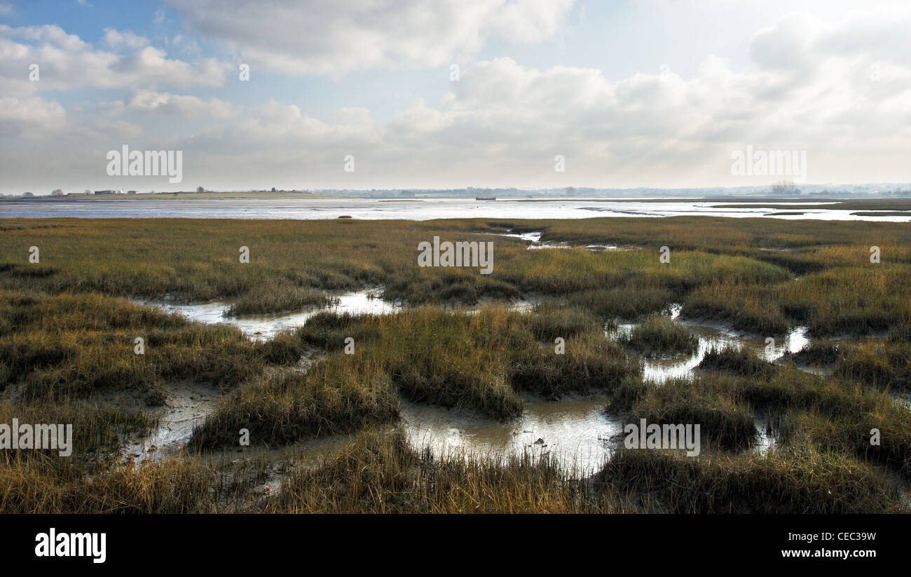Saltings on the Medway Estuary Stock Photo - Alamy