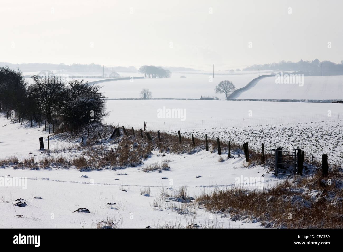 Rural Snow Covered Landscape Stock Photo - Alamy