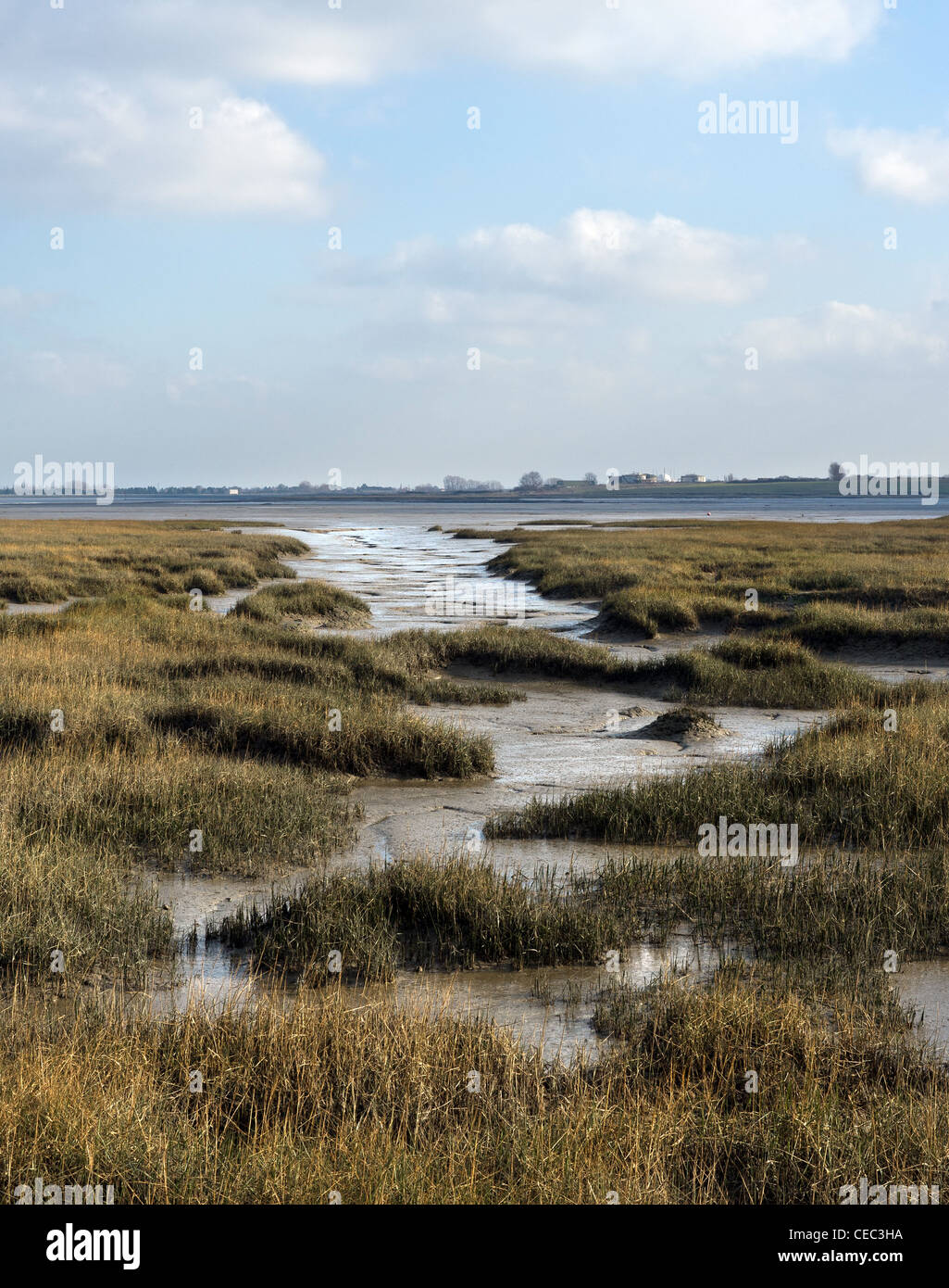 Tidal gully hi-res stock photography and images - Alamy