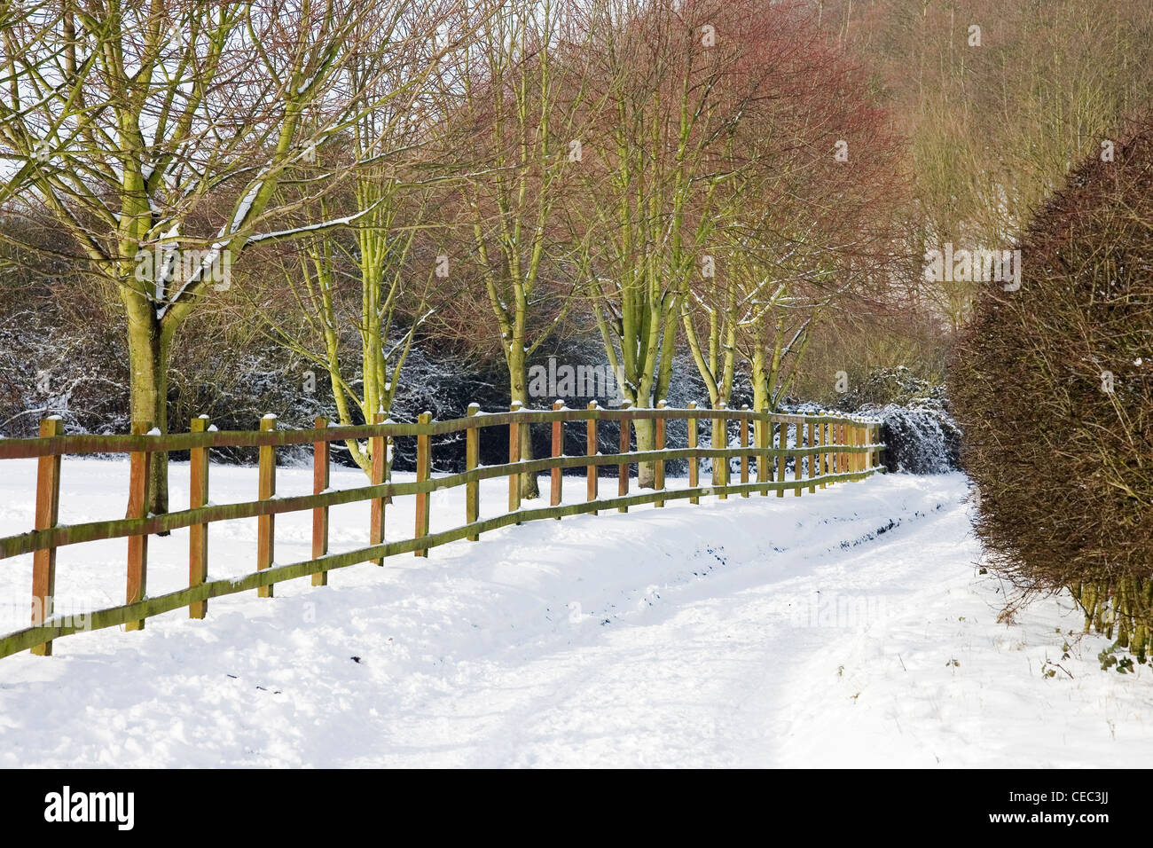 Rural lane snow hi-res stock photography and images - Alamy
