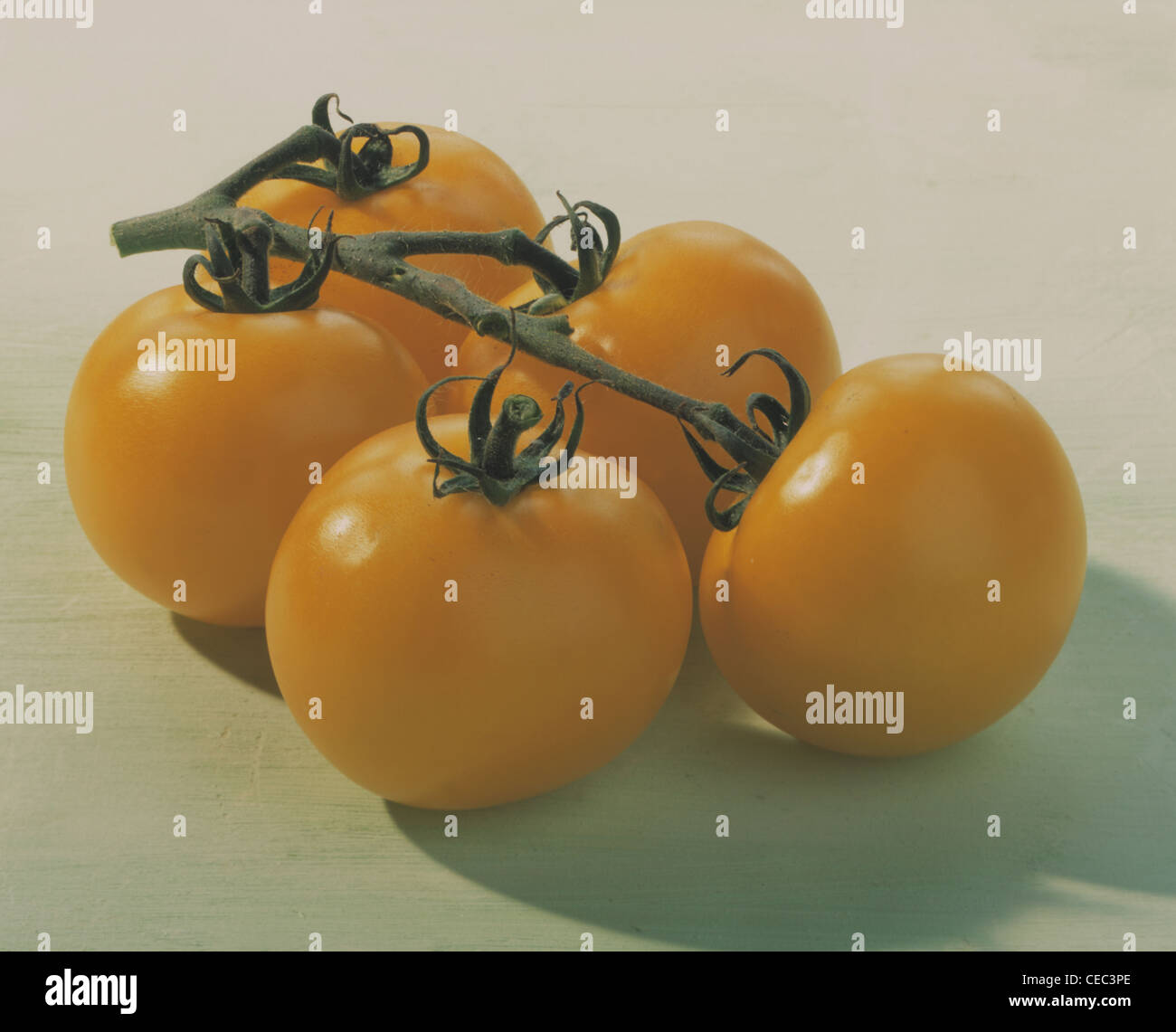 Cut out: Yellow pearl tomato Stock Photo - Alamy