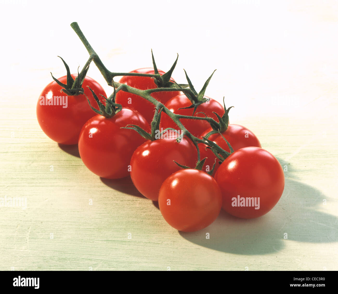 Knockout tomatoes hi-res stock photography and images - Alamy