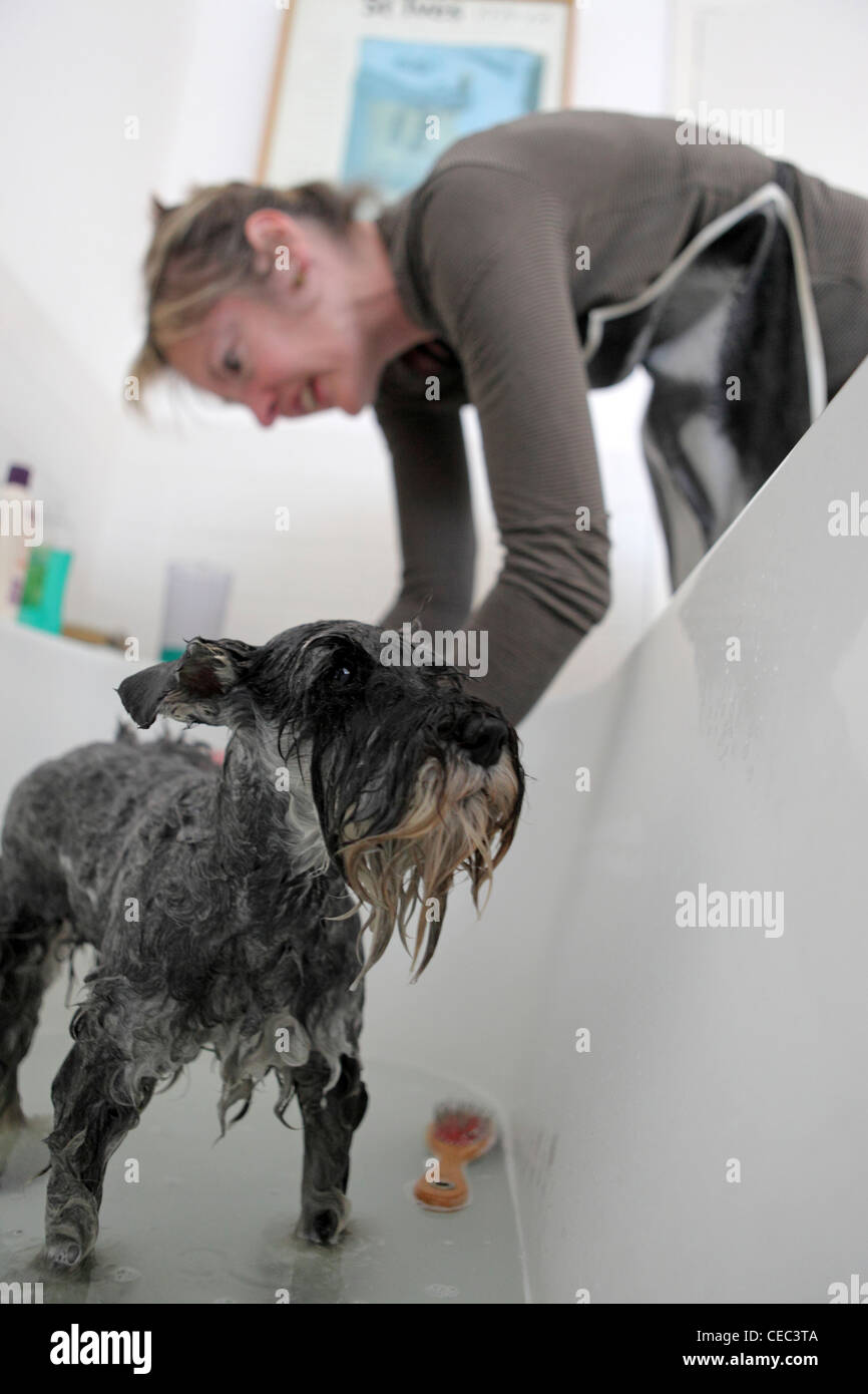 Shampooing patient hi-res stock photography and images - Alamy