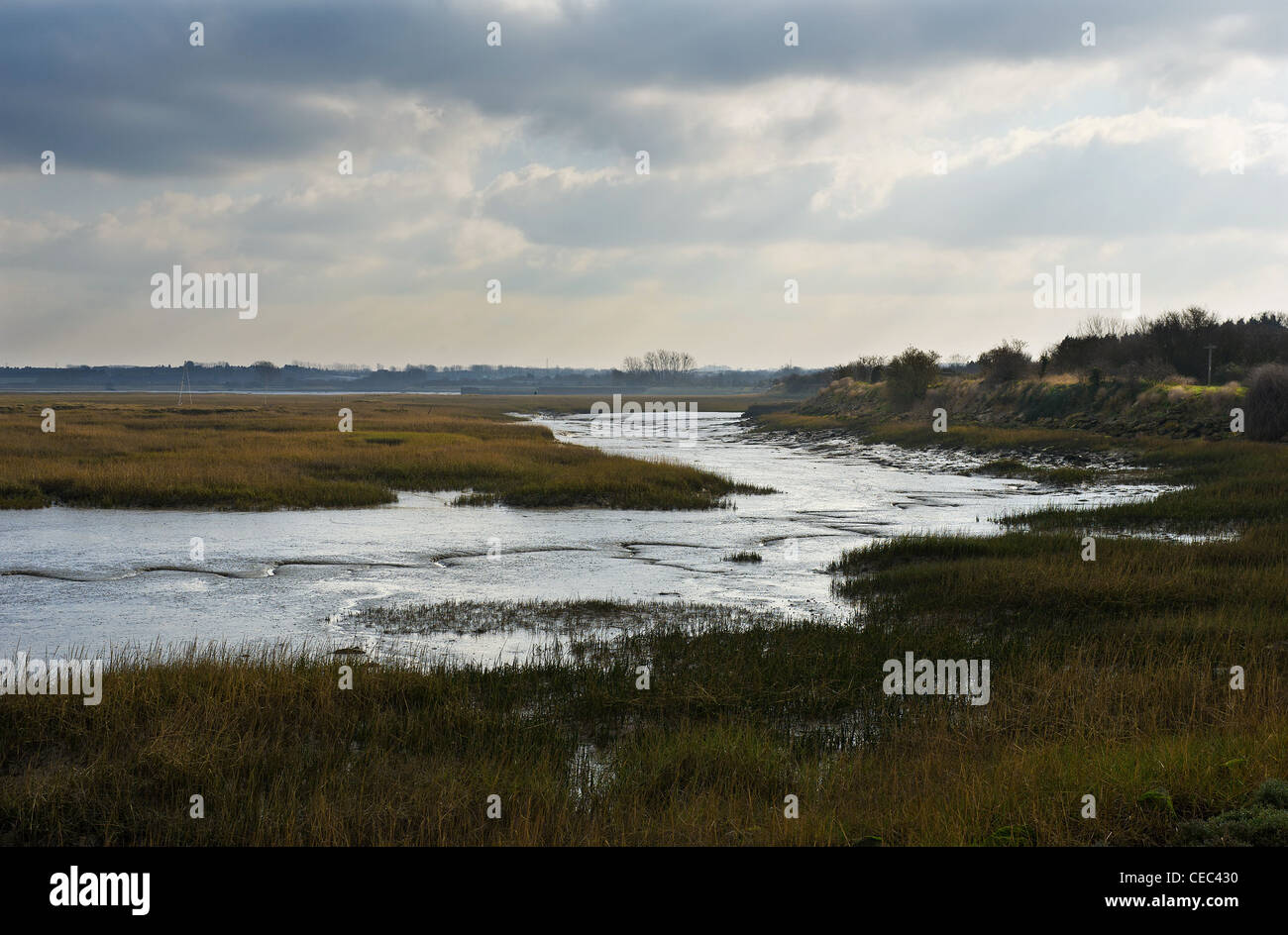 Saltings on the Medway Estuary Stock Photo - Alamy
