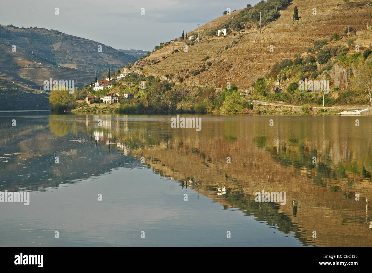 PORTUGAL, River Douro, Pinhao, view on river bank at first light Stock ...