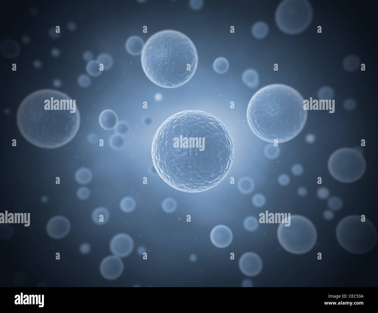 Large resolution image of Cells Stock Photo - Alamy