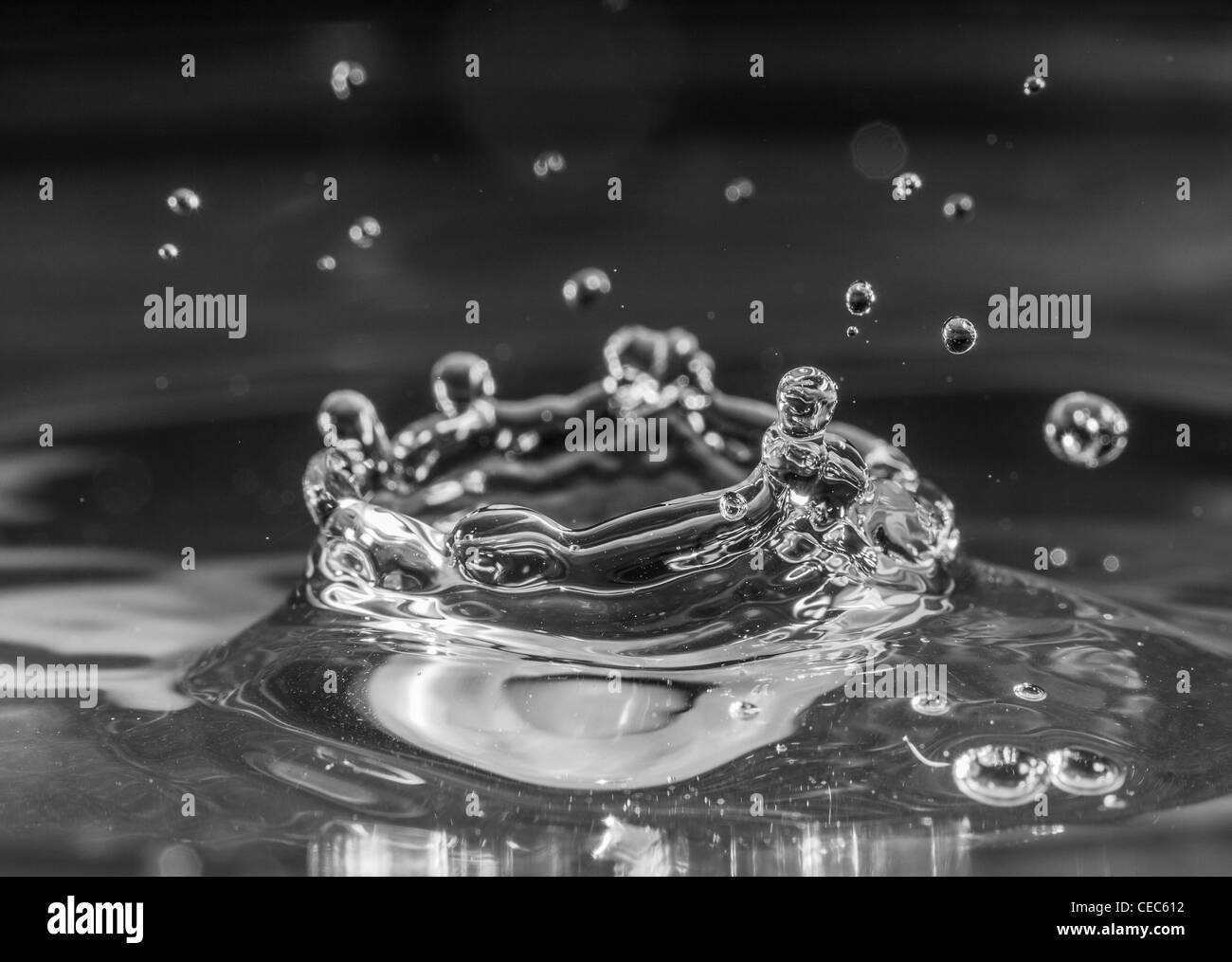 Shapes created by falling water droplets, frozen with high-speed flash ...