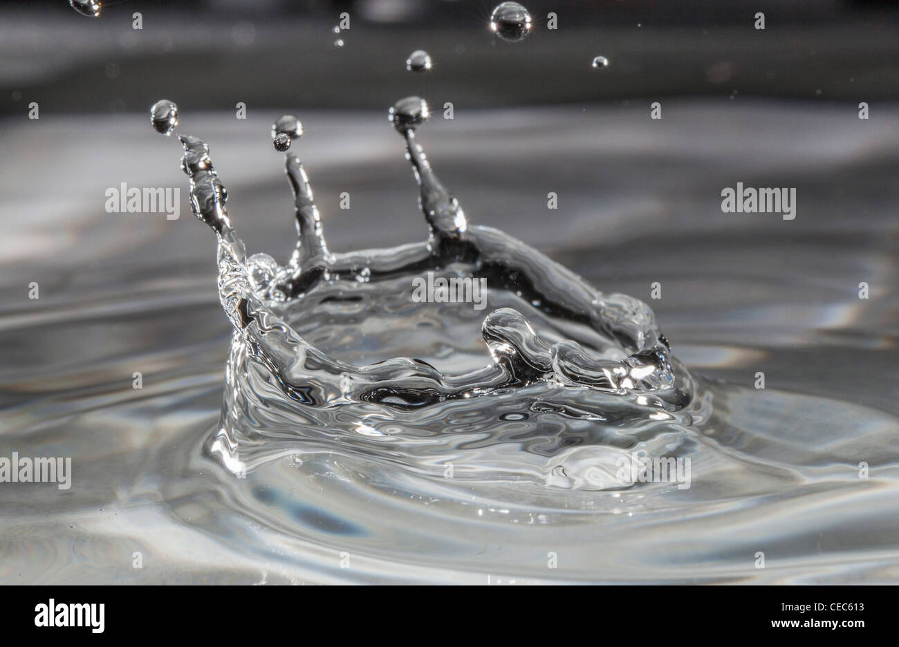 Shapes created by falling water droplets, frozen with high-speed flash ...