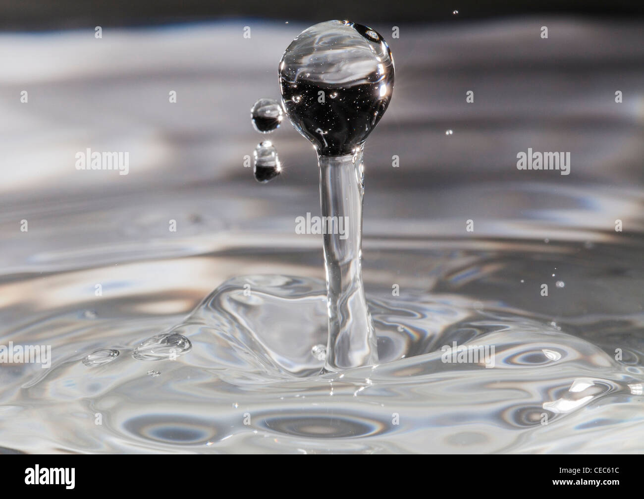 Shapes created by falling water droplets, frozen with high-speed flash ...