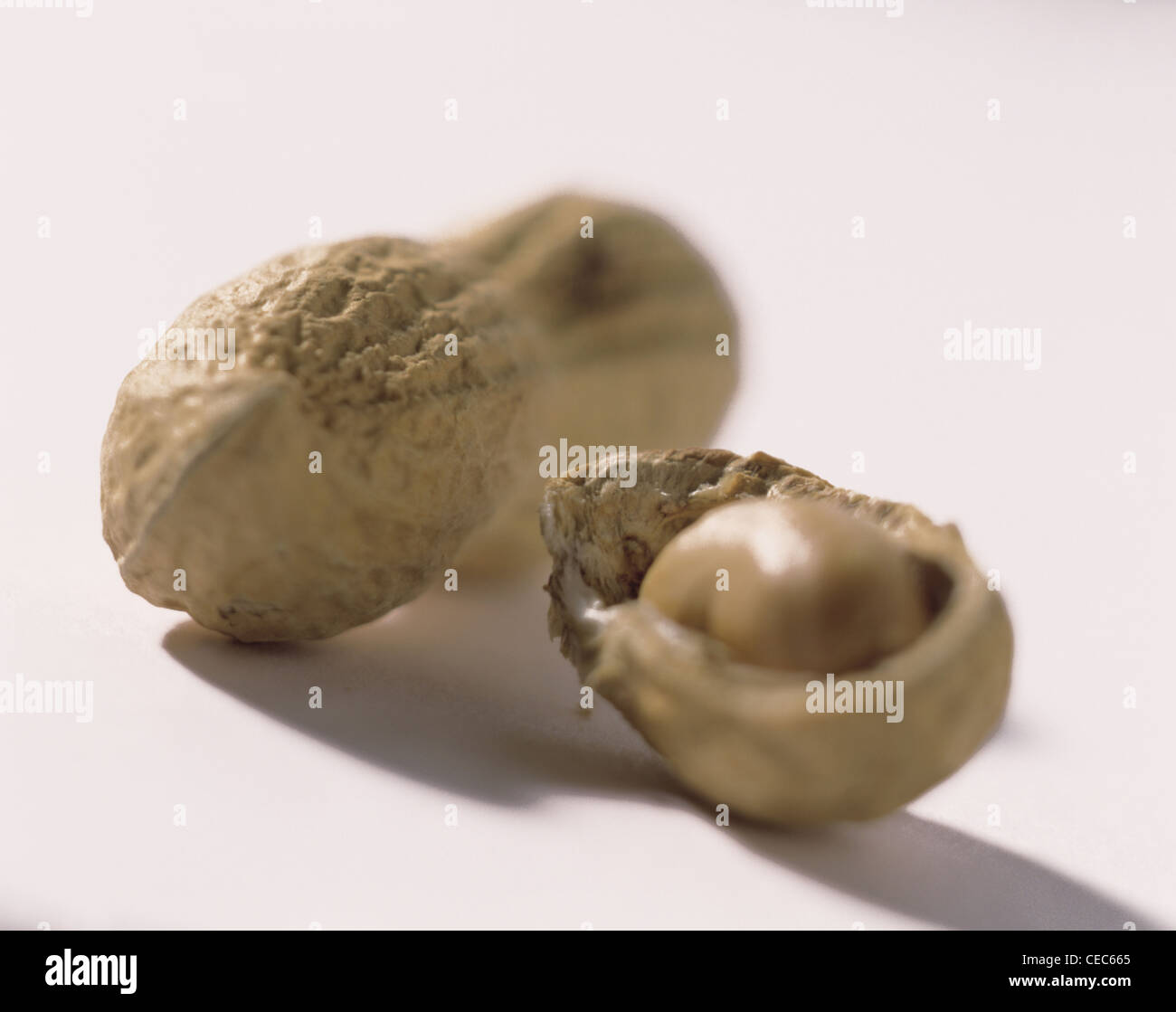 Still: Peanut with shell - opened Stock Photo - Alamy