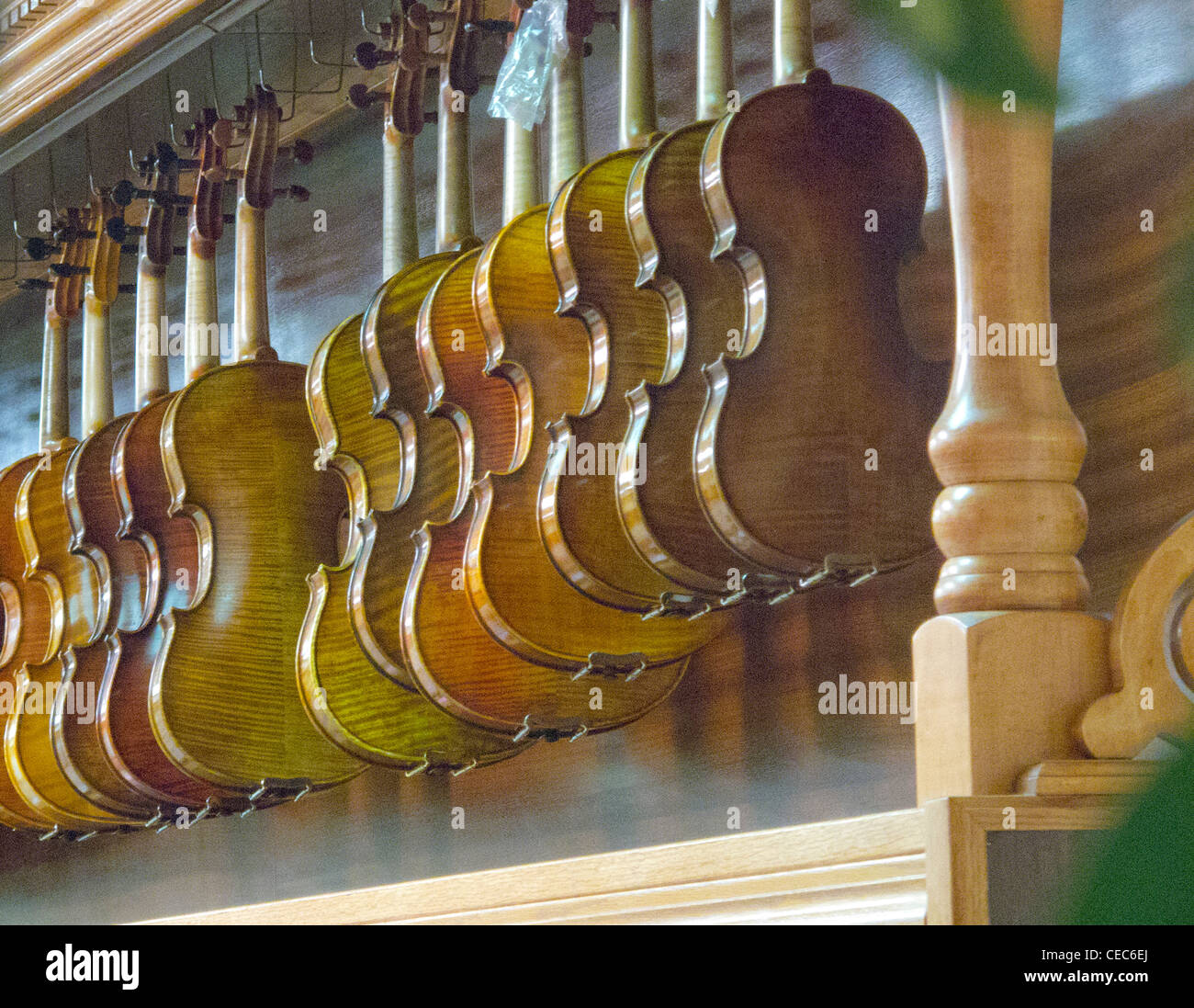 Violins in the Estring musical instrument store in Quincy Massachusetts ...